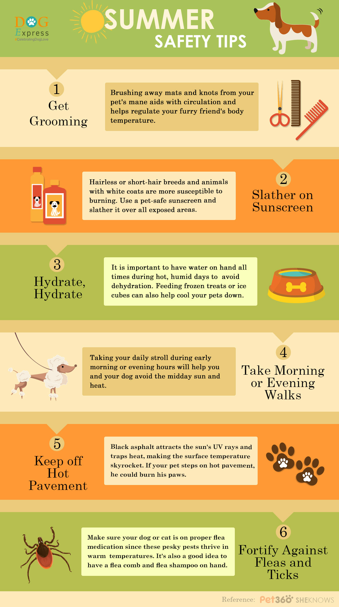 Summer Safety Tips For Dogs Infographic DogExpress Summer Safety Tips For Dogs Infographic DogExpress